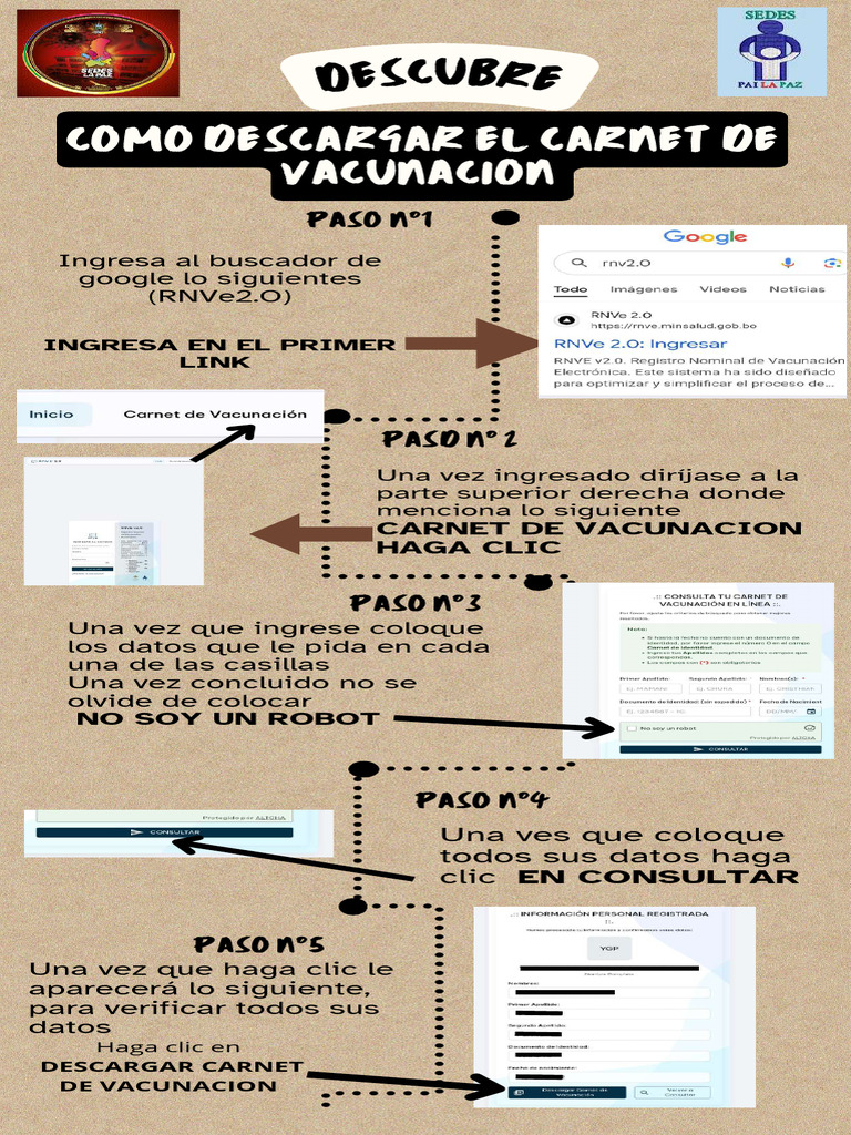 Guía de Descarga Carnet de Vacunación 2025 | PDF