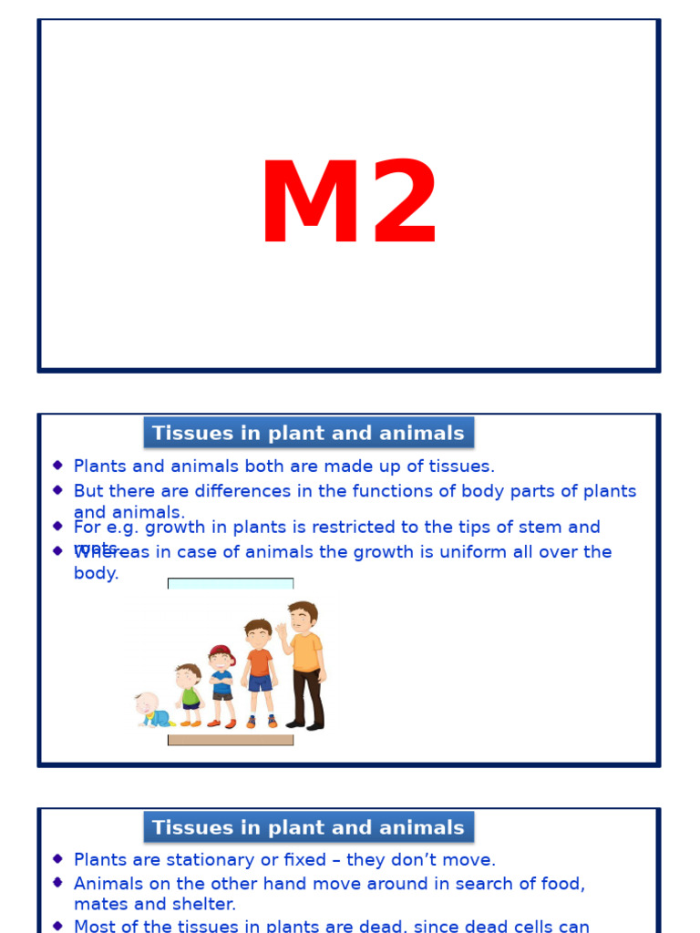 Module 2 | PDF