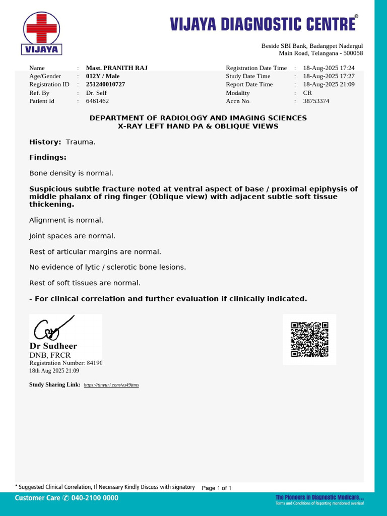 Report - Pranith Raj (251240010727) | PDF