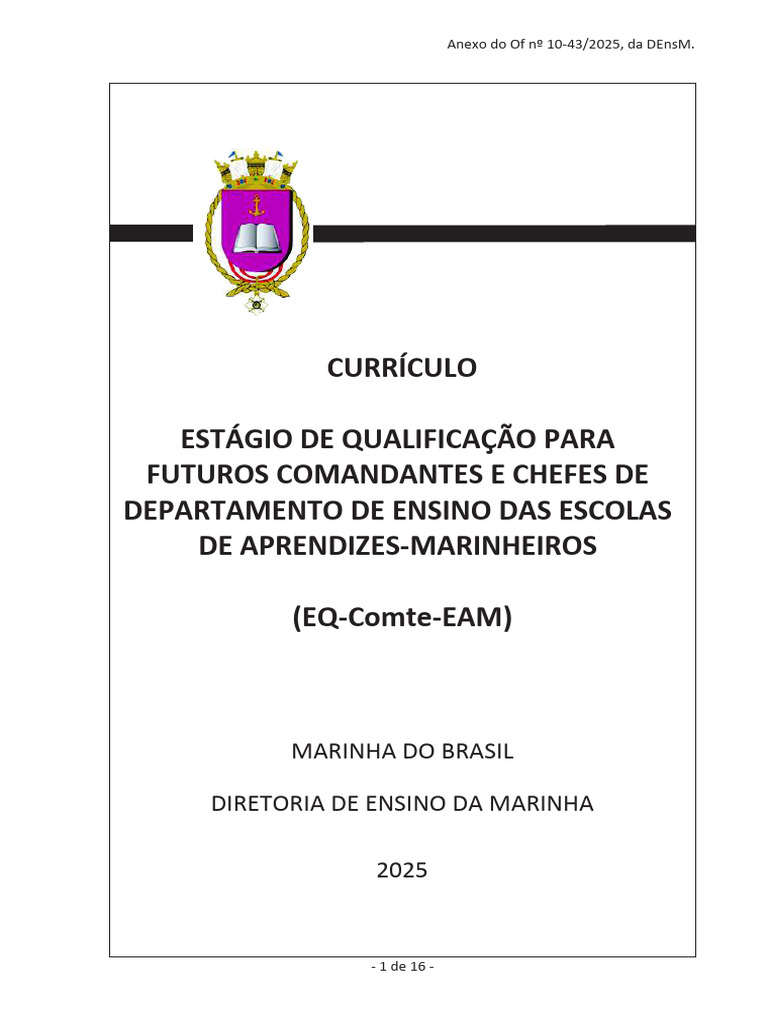 Currículo EQ Cmte EAM | PDF