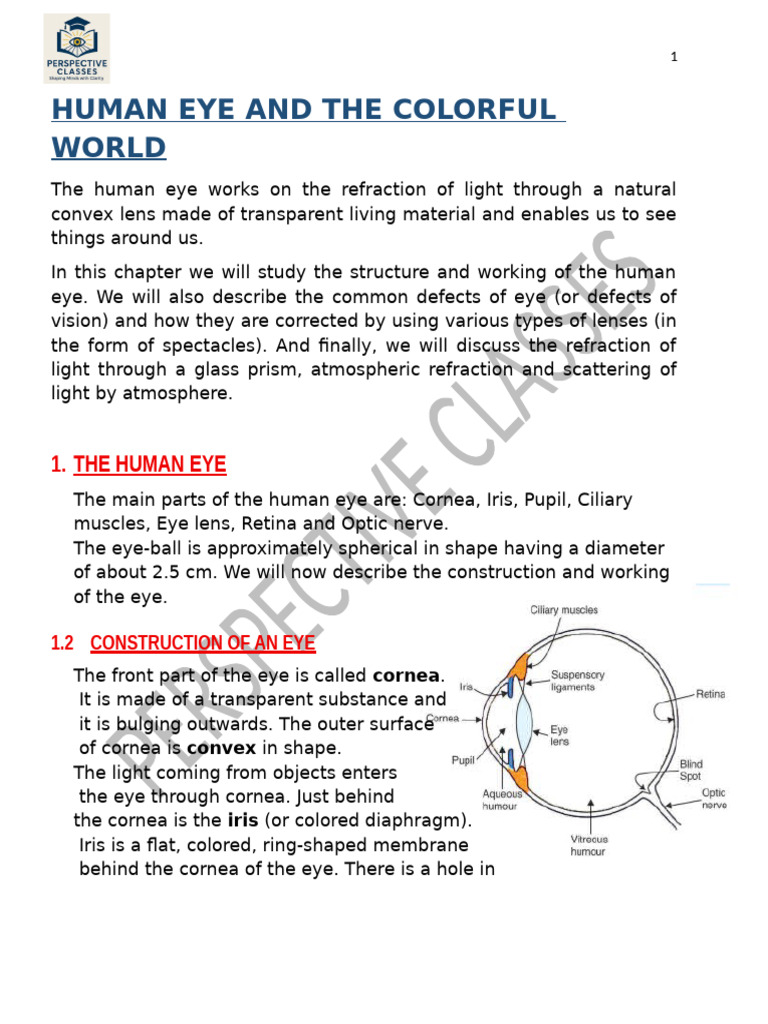 Human Eye Structure and Function | PDF