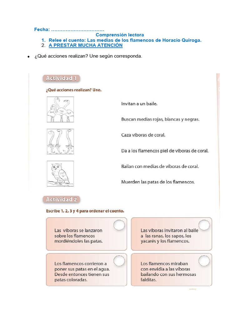 Actividades Del Cuento Las Medias de Los Flamencos. | PDF
