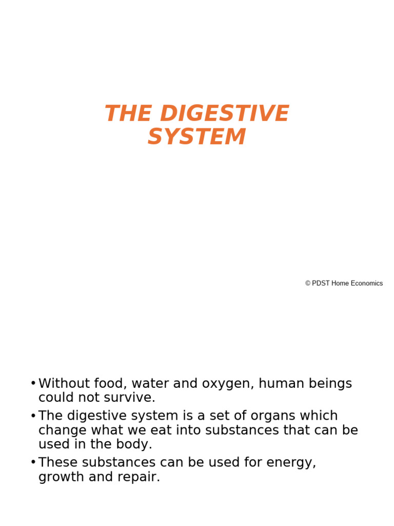 Digestive System ppt | PDF | Digestion | Stomach