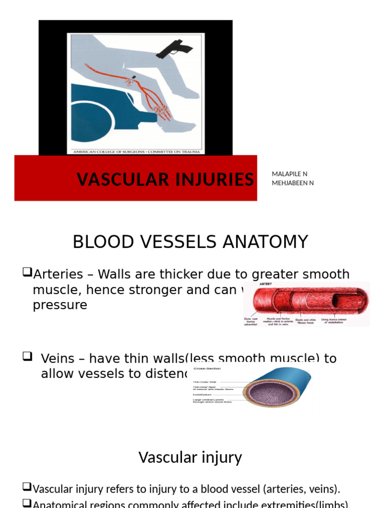 Understanding Vascular Injuries and Management | PDF | Blood Vessel ...