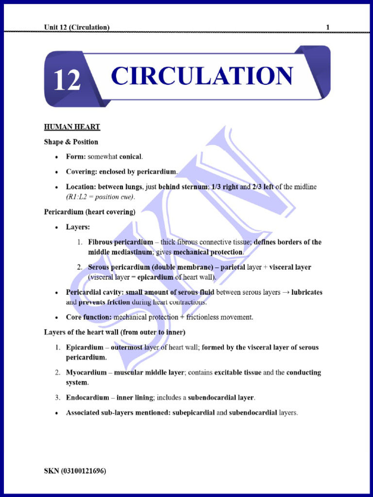 Circualtion SKN Notes Mdcat 2025 | PDF