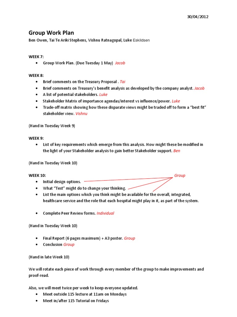Group Work Plan for Healthcare Project | PDF | Self-Improvement