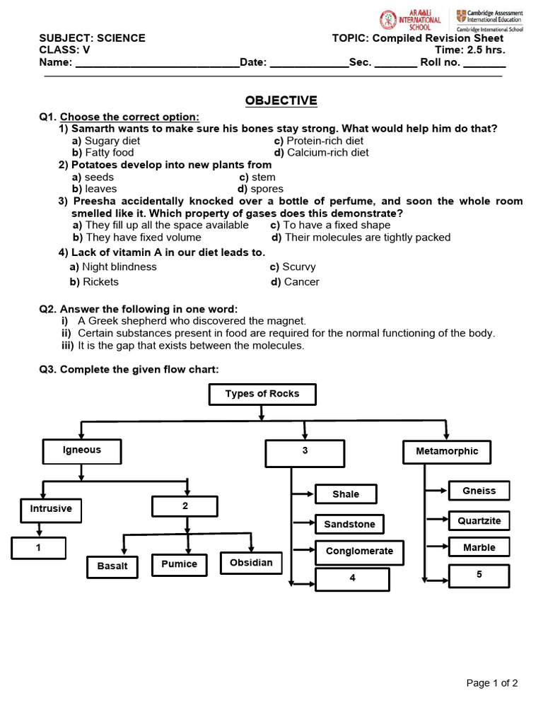 Class V Science Revision Sheet | PDF | Water