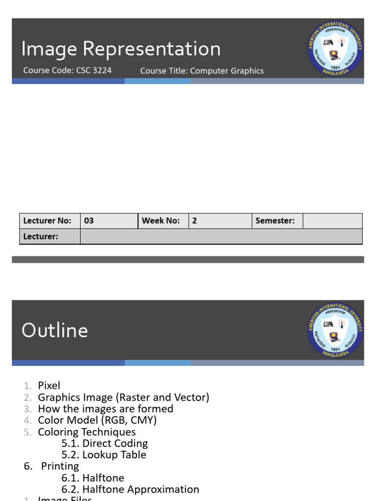 Image Representation in Computer Graphics | PDF | Rgb Color Model ...