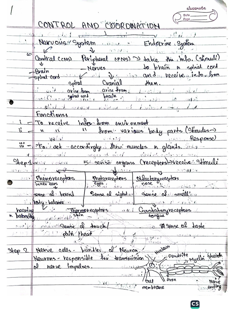 Class 10 Biology Short Notes PDF | PDF