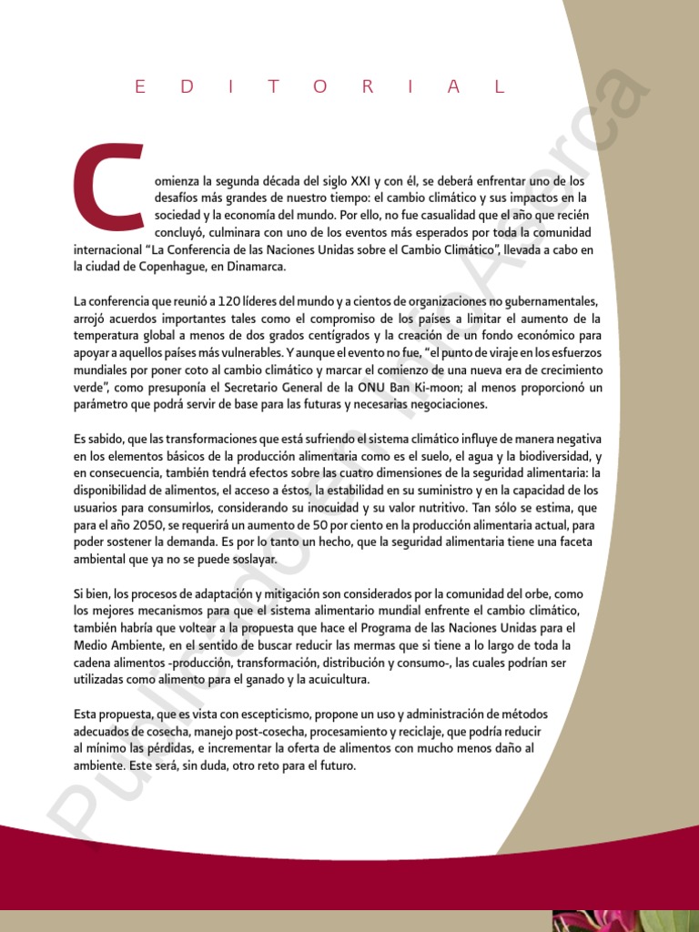 Naranja Dulce Limon Partido | PDF | Alimentos | Carne