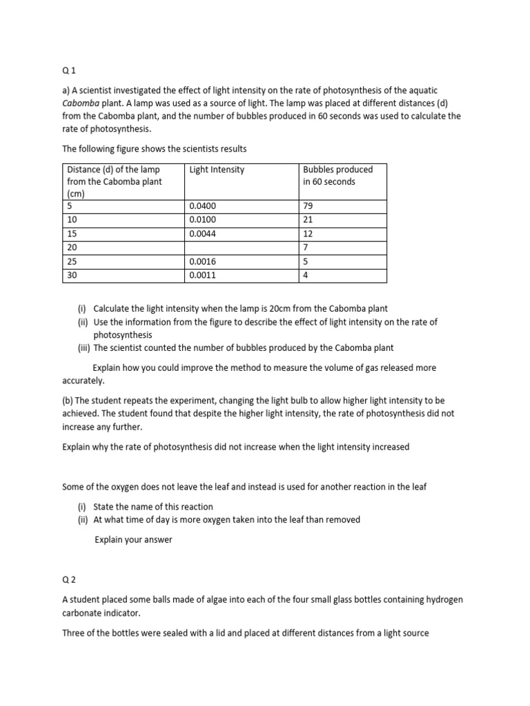 Plant Biology Worksheet | PDF | Photosynthesis | Carbonate