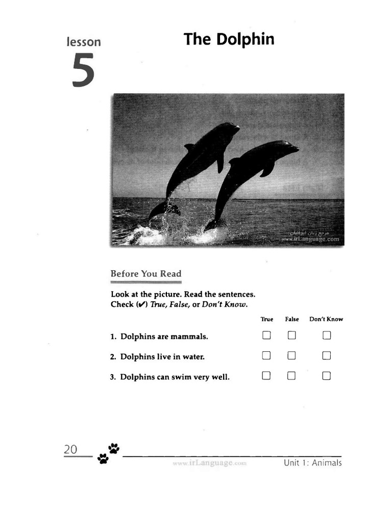 Unit 1 Lesson 5 | PDF