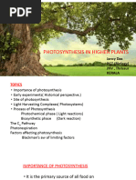 Photosynthesis Class 11 Biology NCERT | PDF | Photosynthesis | Chloroplast