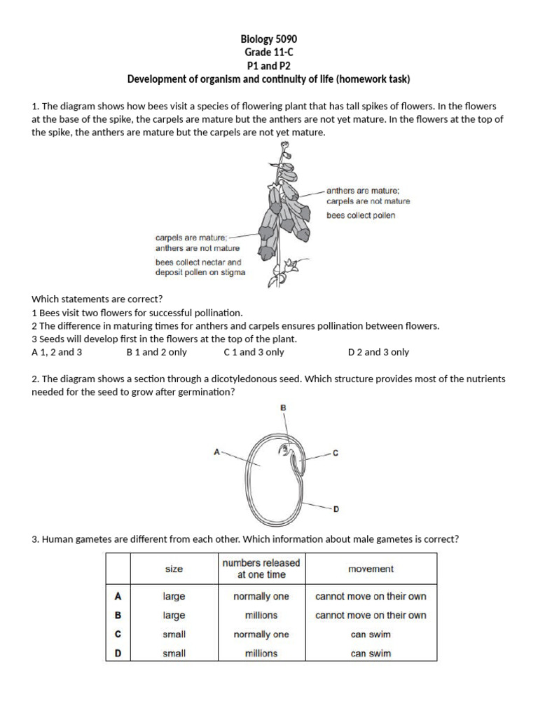 Reproduction Worksheet | PDF | Sexual Reproduction | Flowers