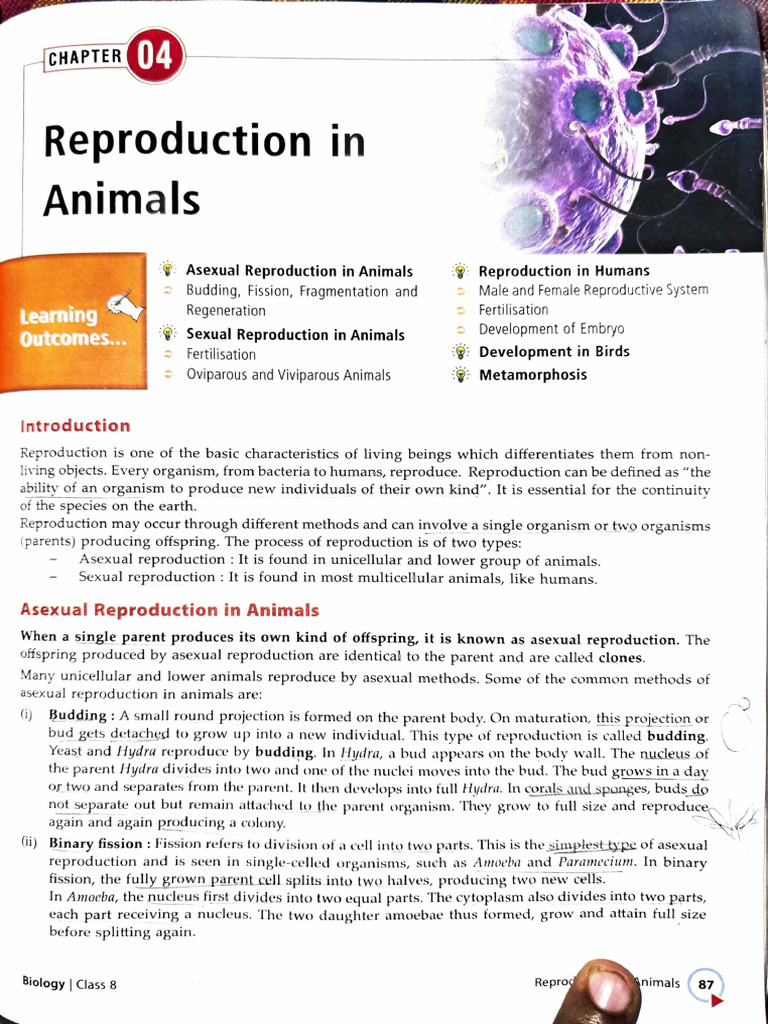 Animal Reproduction: Asexual & Sexual Methods | PDF | Sexual ...