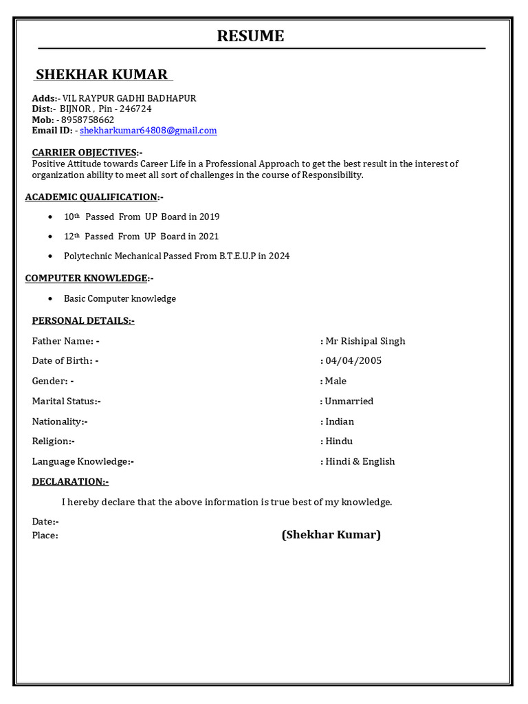 Shekhar Kumar's Professional Resume | PDF
