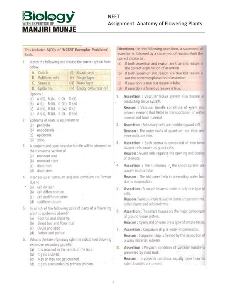 Anatomy of Flowering Plants - Assignment | PDF