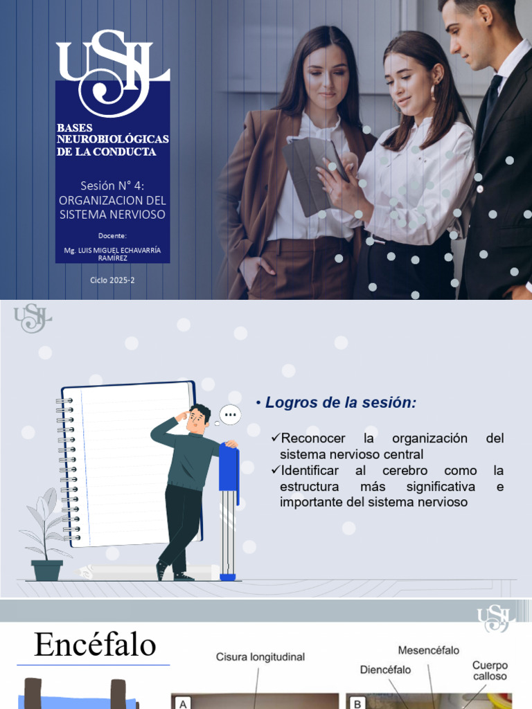 Sem4 - SNC-Enc y Med Esp-Estr Prot | PDF | Cerebro | Médula espinal