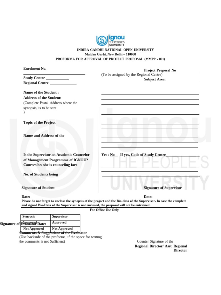 Microsoft Word - Project Guidelines For MMPP-001 | PDF