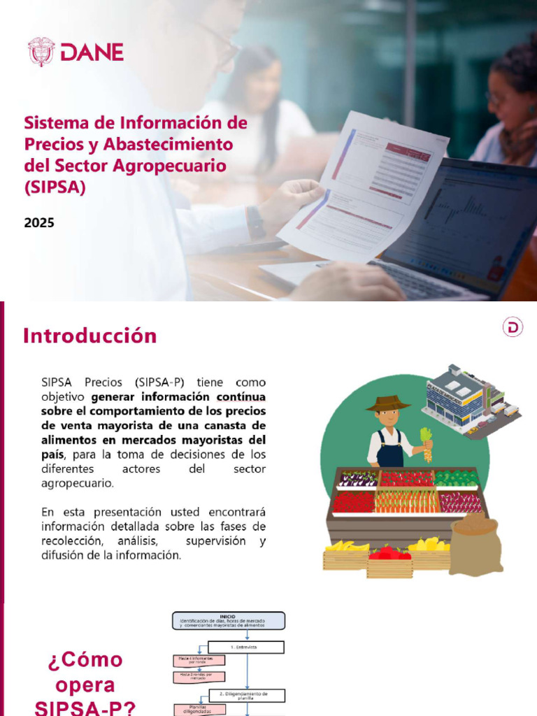 SIPSA | PDF