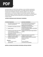 Isibonelo Somlando Kamufi Grade 8 | PDF | Social Science | Religion ...