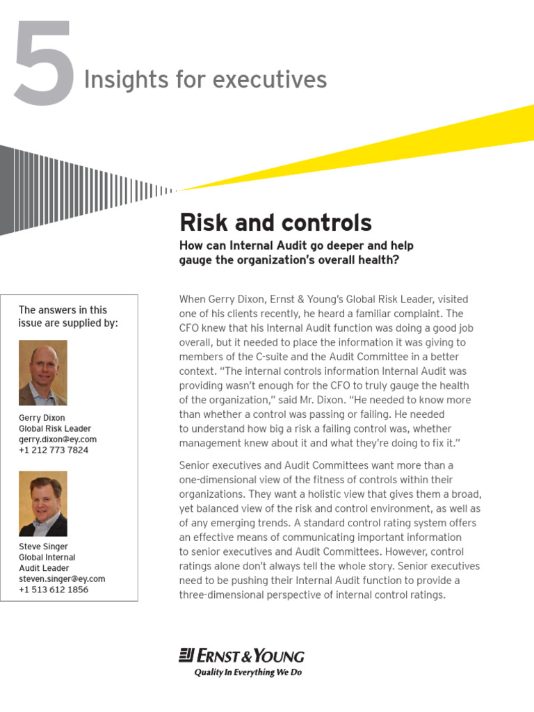 5 Insights For Executives | PDF | Internal Audit | Audit