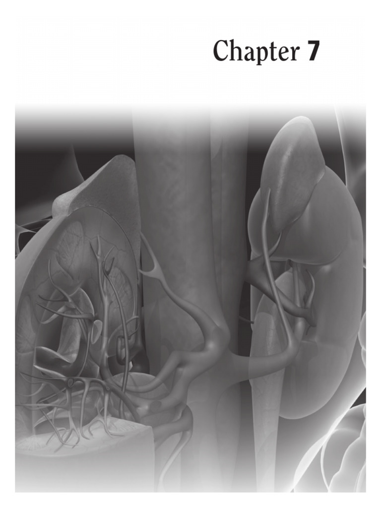 Urinary System Quiz and Vocabulary | PDF | Kidney | Urinary System