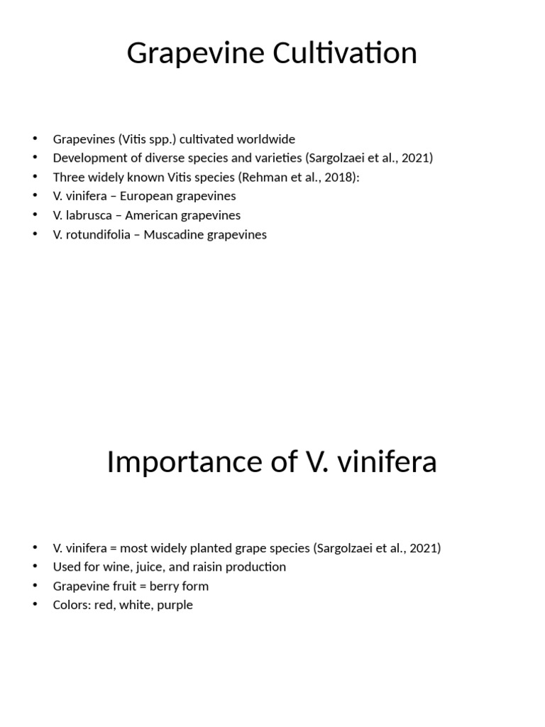 Grapevine Cultivation and Pigment Insights | PDF