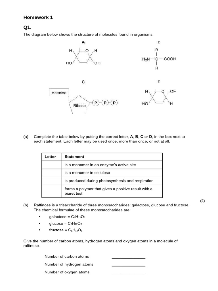 Biology Homework on Molecules and Water | PDF | Hydrolysis | Carbohydrates