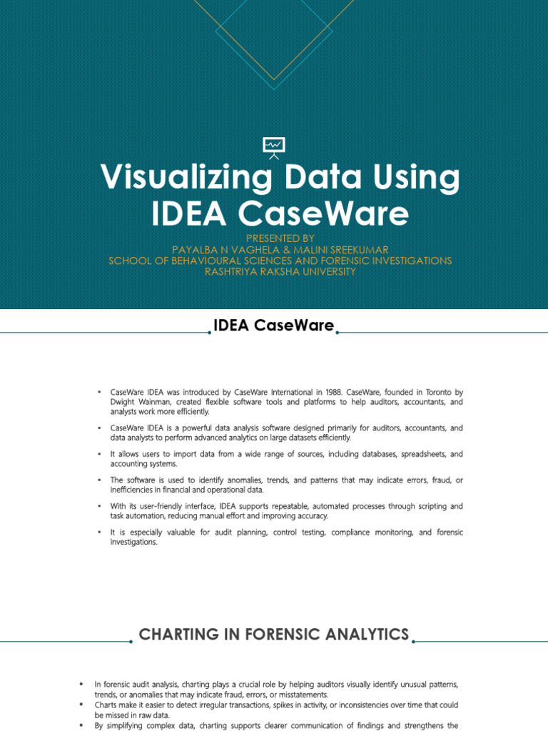 Forensic Data Visualization with IDEA | PDF | Audit | Pie Chart