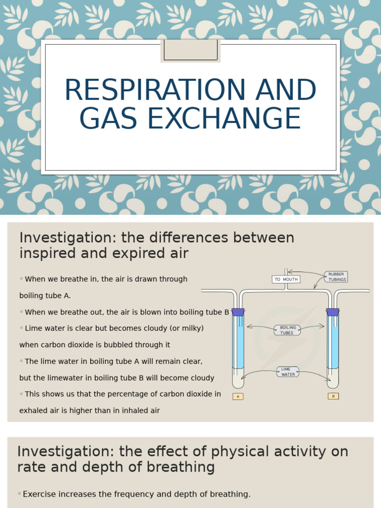 Investigations Respiration and Gas Exchange | PDF