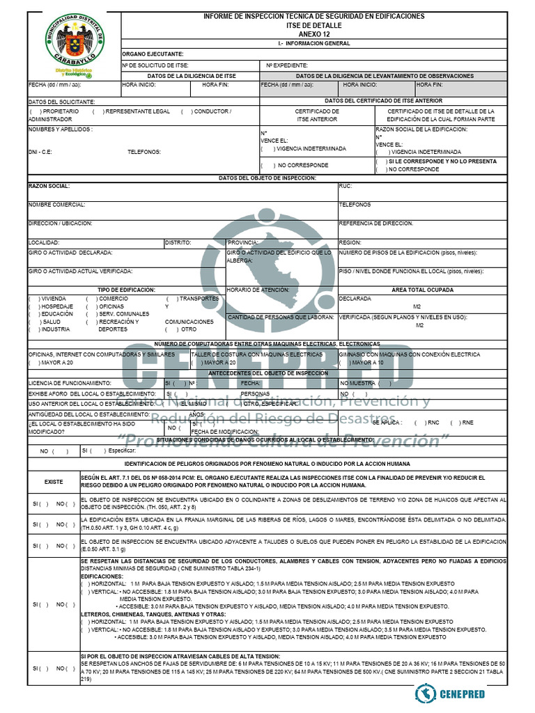 12.-Anexo-Informe-ITSE-DE-DETALLE | PDF | Albañilería | edificio