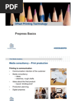 Offset Printing Troubleshooting Guide | PDF | Nature