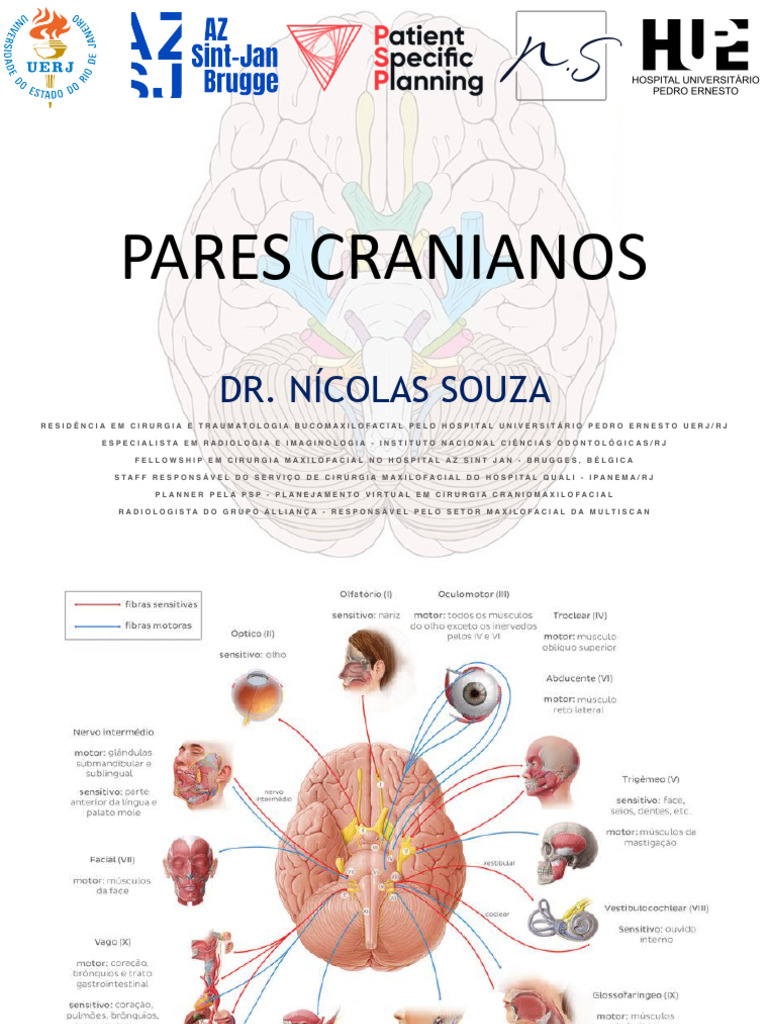 Pares Cranianos | PDF | Otorrinolaringologia | Rosto