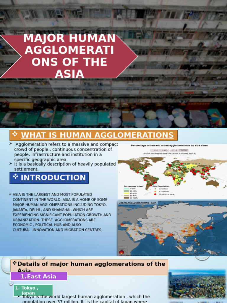 Major Human Agglomerations in Asia | PDF | Urban Area | Urbanization