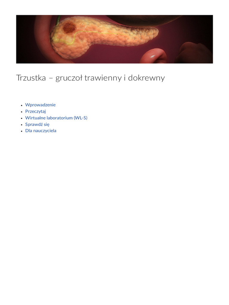 Trzustka Gruczol Trawienny I Dokrewny | PDF