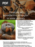 Courtship Behaviors in Animals Explained | PDF | Male | Behavior