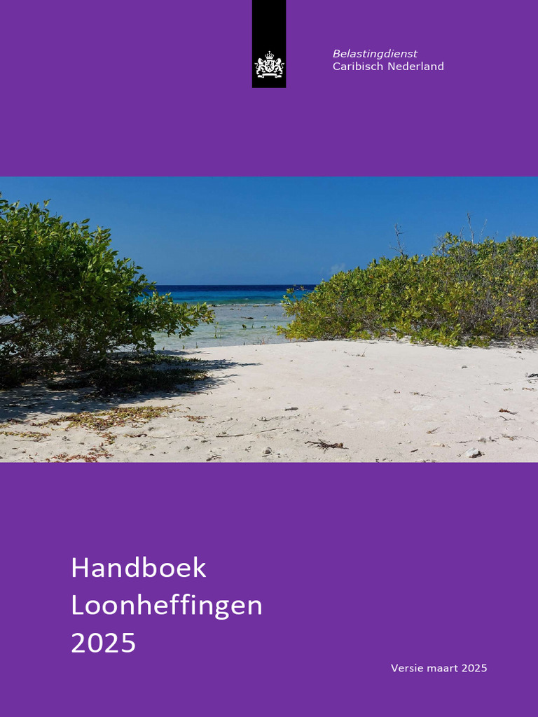 BES+-+Handboek+Loonheffingen+2025+versie+1 1 | PDF