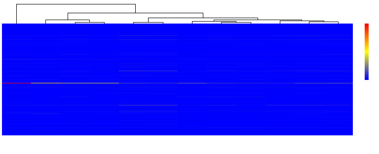 Heatmap NBs | PDF
