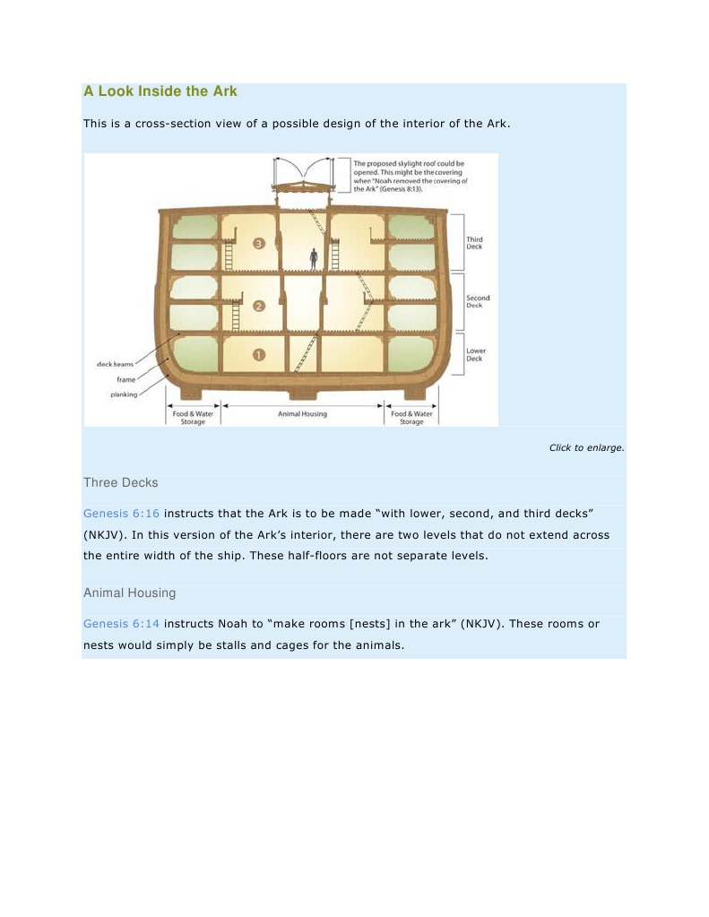 A Look Inside The Ark | PDF | Deck (Ship) | Nature
