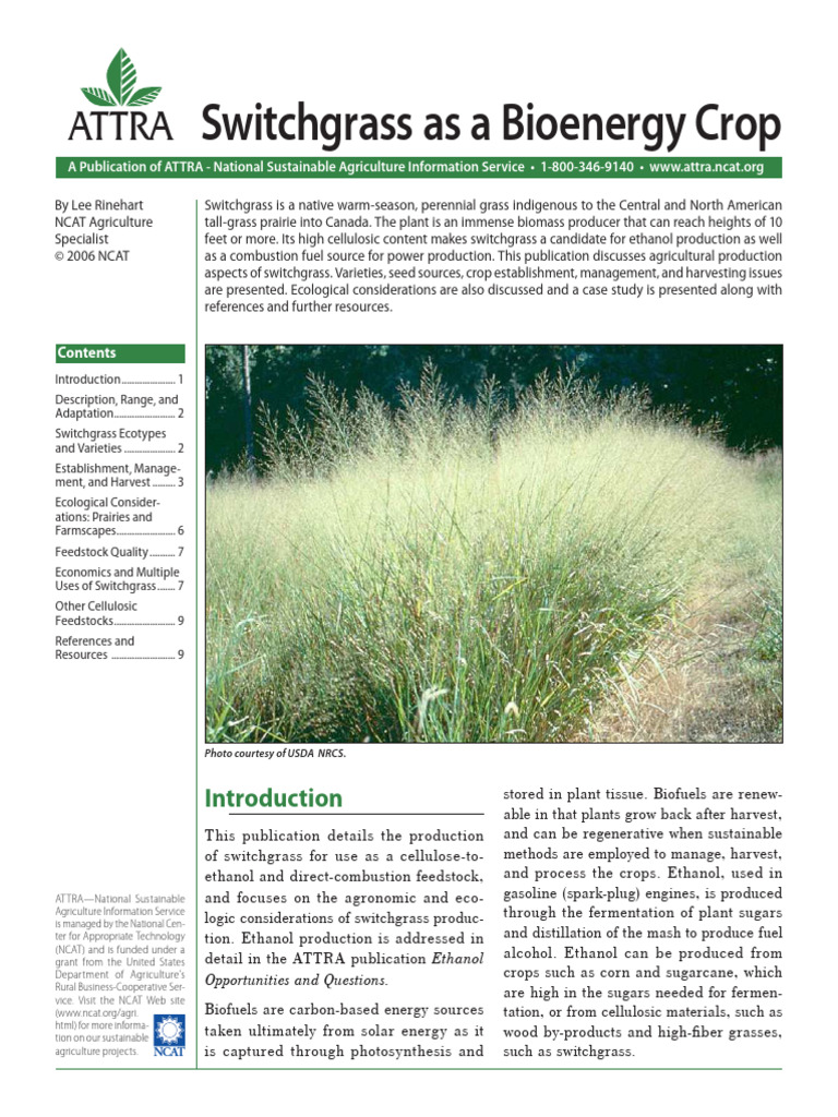 Switchgrass. As A Bioenergy Crop 1iooj6s | PDF | Biofuel | Cellulosic ...