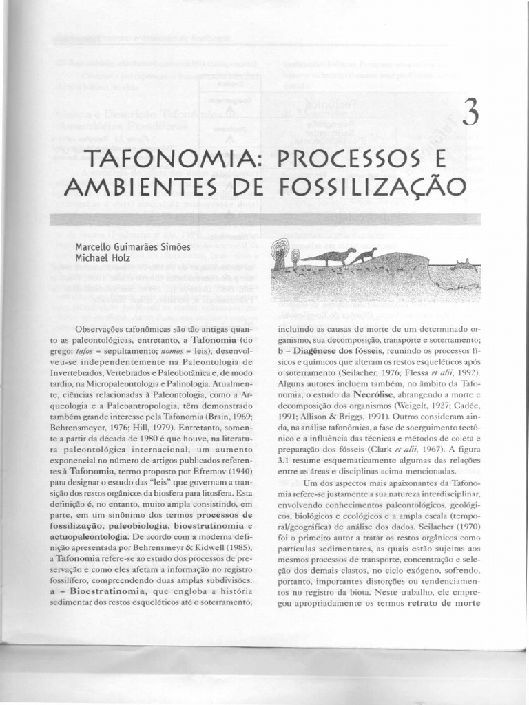 Cap 3 - Tafonomia - Processos e Ambientes de Fossilização | PDF
