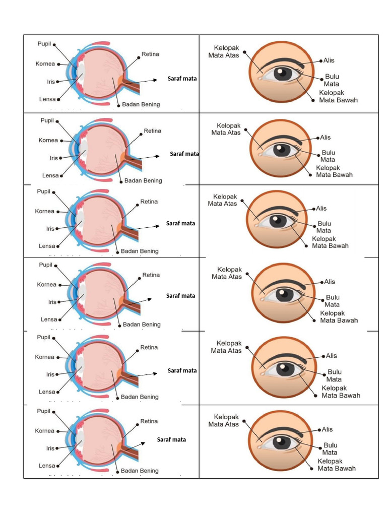 Print Gambar Mata | PDF