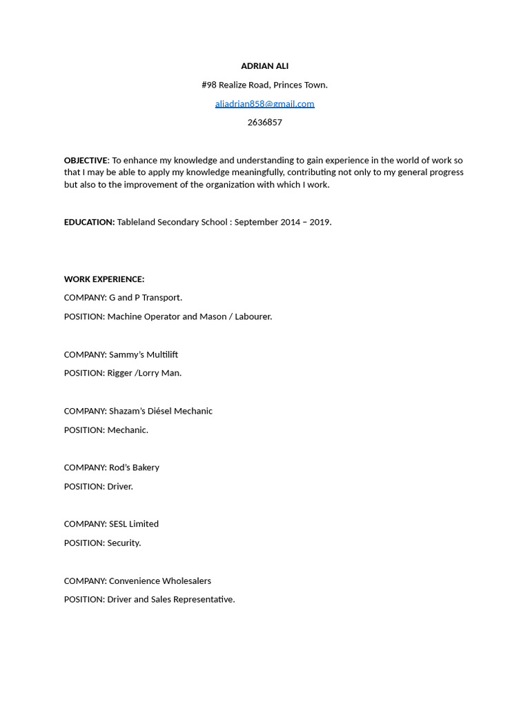 Adrian Ali's Resume and Work Experience | PDF