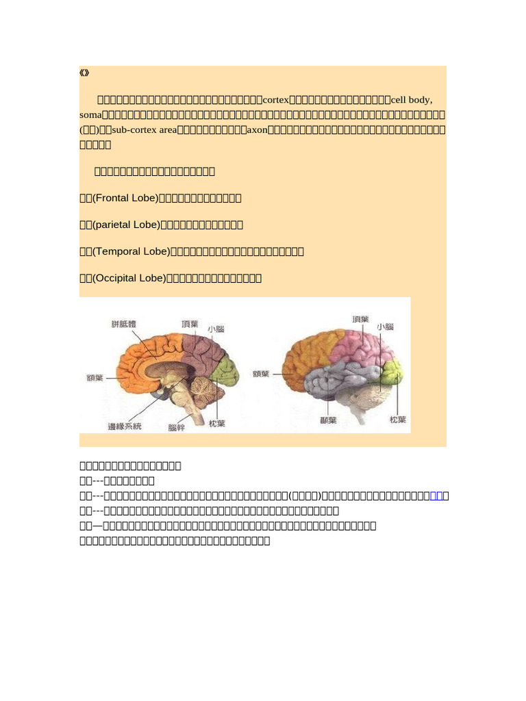 Cortex Cell Body, Soma Sub-Cortex Area Axon: (Frontal Lobe) (Parietal ...