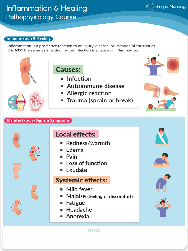 Inflammation & Healing | PDF