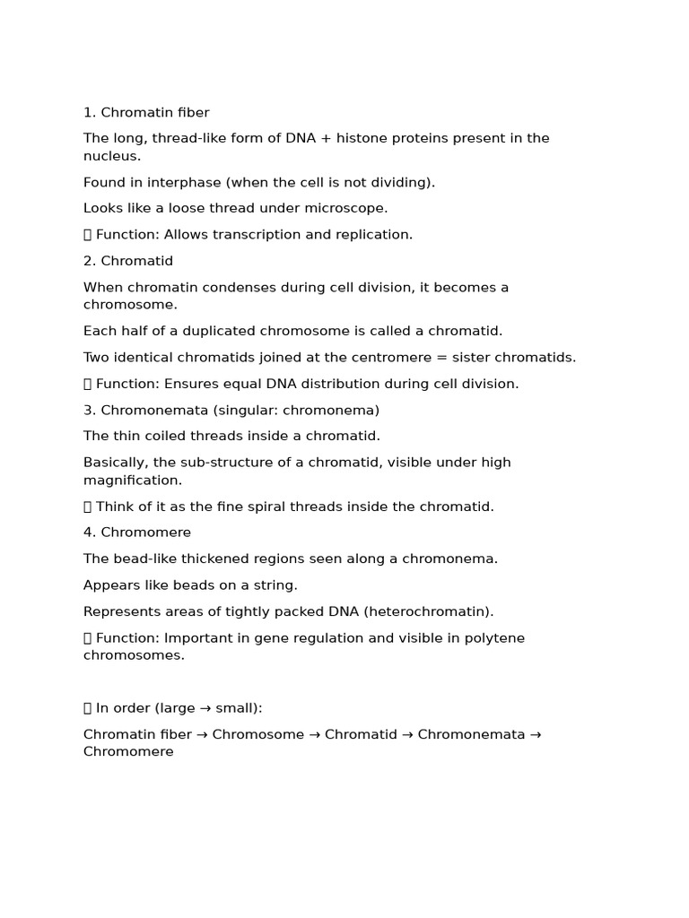 Chromatin Fiber Chromosome Chromatid Chromonemata Chromomere | PDF