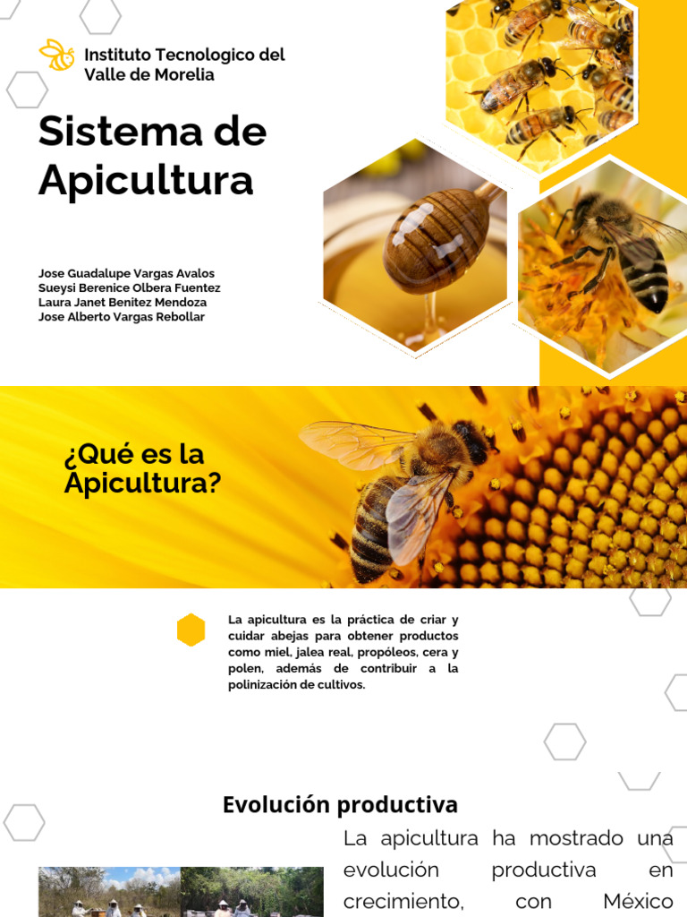 White Yellow Modern Geometric Honey Bee Presentation | PDF | Apicultura ...