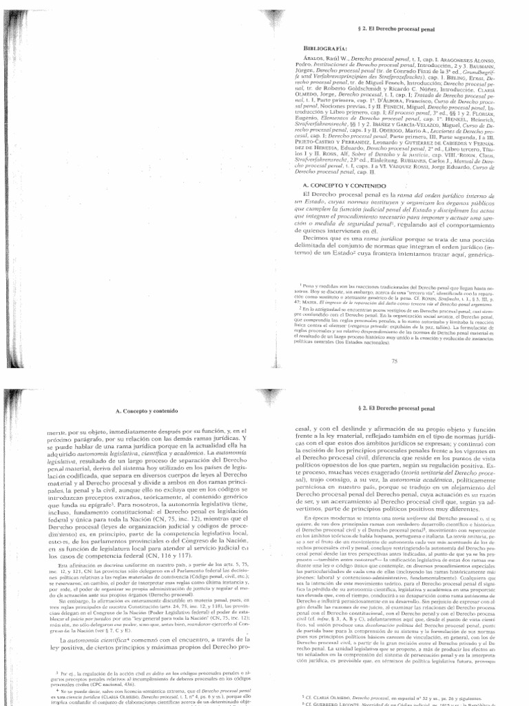 Derecho Procesal Penal - T - 1 75 - 120 | PDF