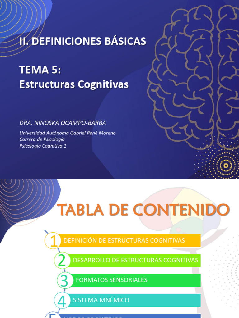 Definición y Desarrollo de Estructuras Cognitivas | PDF | Percepción ...